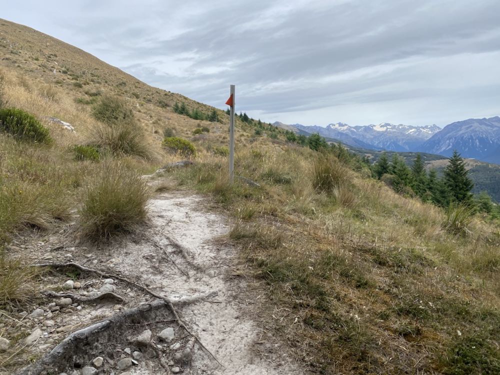 Bealey Hut to Hamilton Hut – The Interconnected View