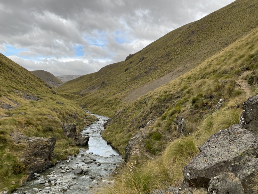 Stone Hut to Camp Stream Hut – The Interconnected View