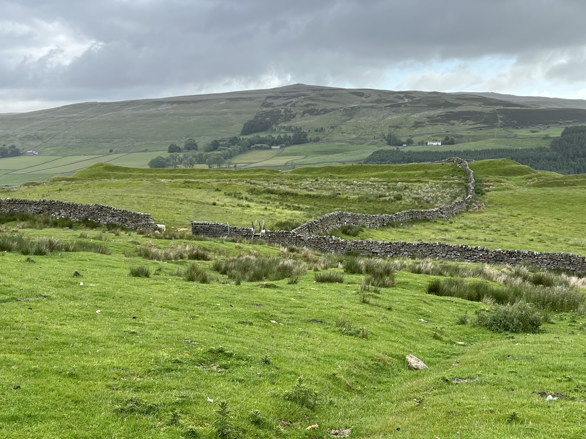 Alston to Greenhead – The Interconnected View